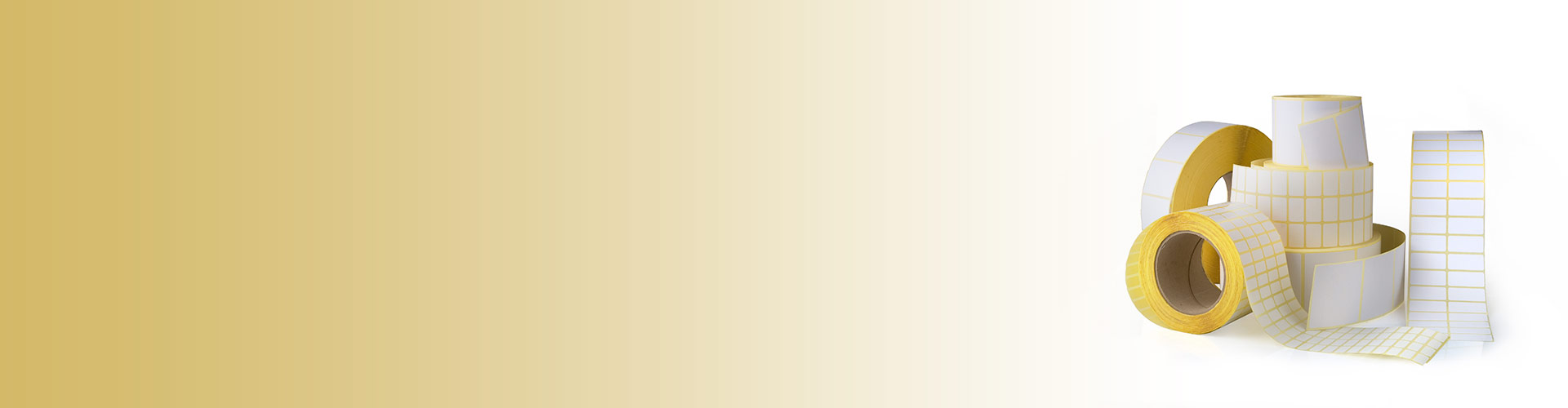 Adhesive Roll and Fanfold Labels | GESA EN